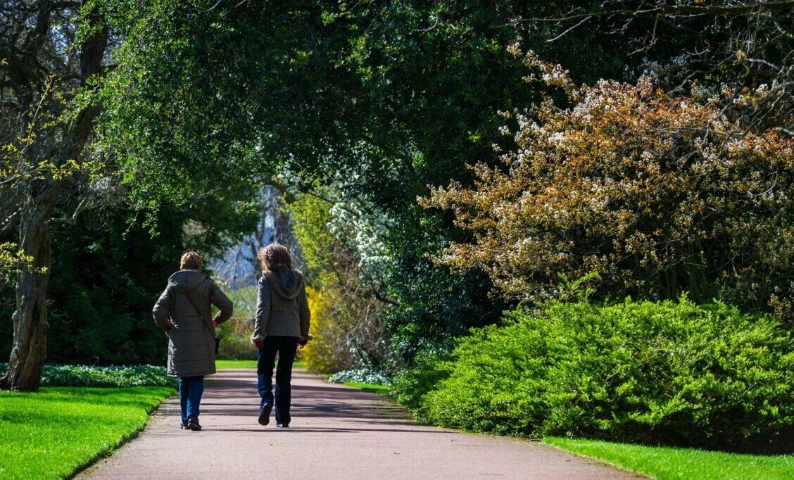 Why Walking and Talking Therapy is Becoming so Popular - Tikvah Lake ...